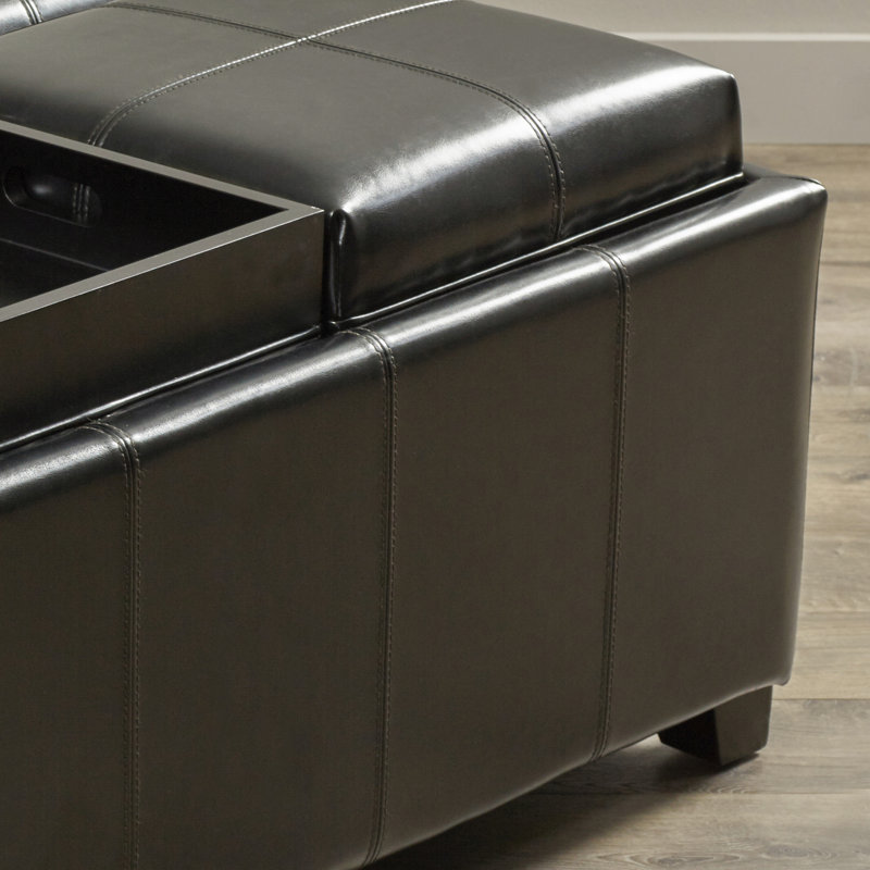 Latitude Run® Jaymee-Lynn Faux Leather Ottoman & Reviews | Wayfair